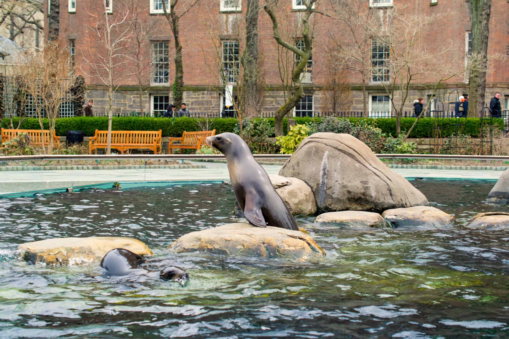 Central Park Zoo – Go New York
